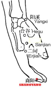 Diji SP8: Nomenclature, Location, Function, Indication - Acupuncture Nepal