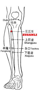 Yinlingquan SP9 : Nomenclature, Location, Function, Indication ...
