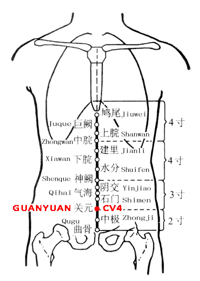 Guanyuan CV4: Nomenclature, Location, Functions, Indications, Method ...