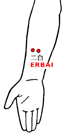 Erbai EX-UE2: Location, Function, Indication - Acupuncture Nepal