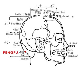 Fengfu GV16: Nomenclature, Location, Functions, Indication, Method ...