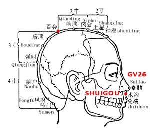 Renzhong GV26: : Nomenclature, Location, Functions, Method, Precaution ...