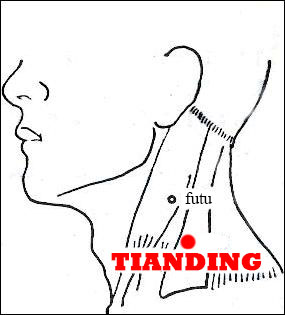 Tianding LI17 : Nomenclature, Location, Function, Indication ...