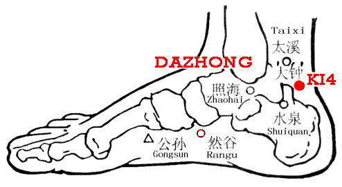 Dazhong KI4: Nomenclature, Location, Functions, Indications ...