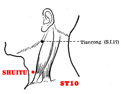 Shuitu ST10: Nomenclature, Location, Functions, Indications ...