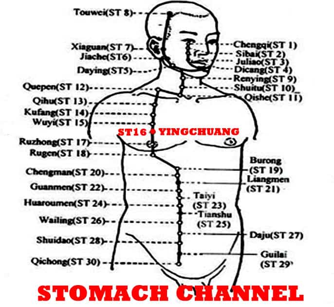 Yingchuang ST16: Nomenclature, Location, Functions, Indications ...