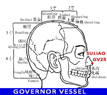 Suliao(GV-25 / 素髎) : Nomenclature, Location, Functions, Method ...